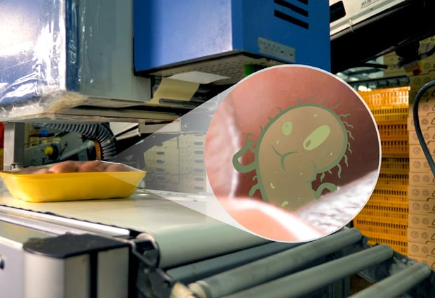 Microorganism Contamination in Compressed Air Systems